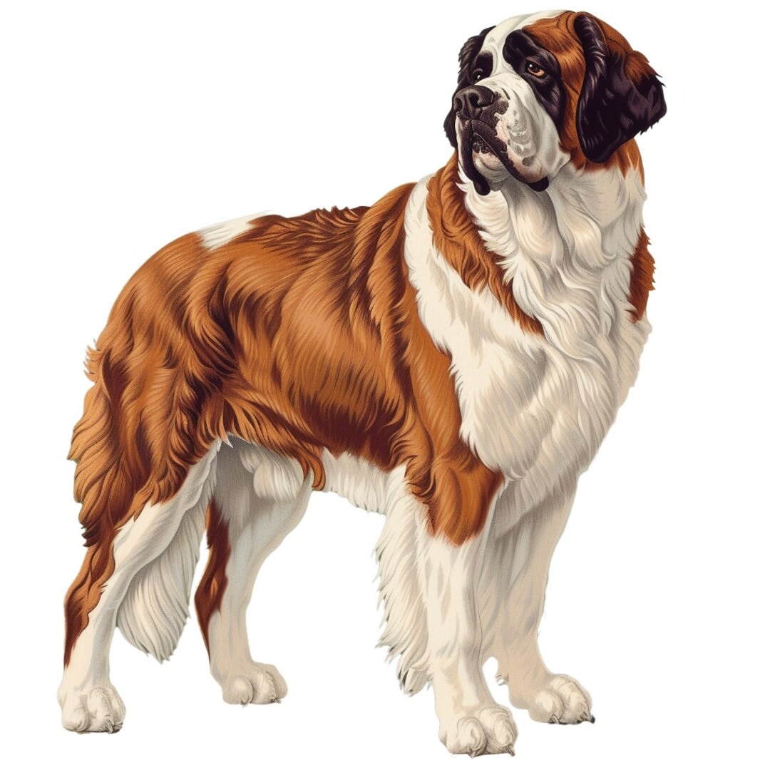 St. Bernard Car Sticker Dog Sticker - Etsy