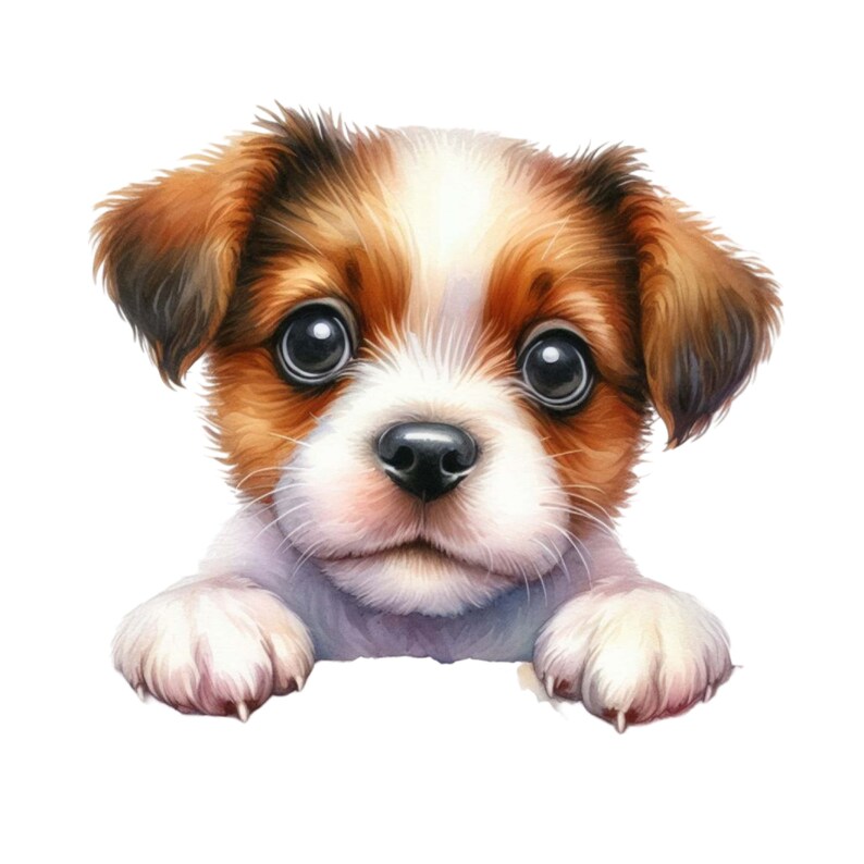 Funny Peeking Dog Car Decal Dog Sticker - Etsy