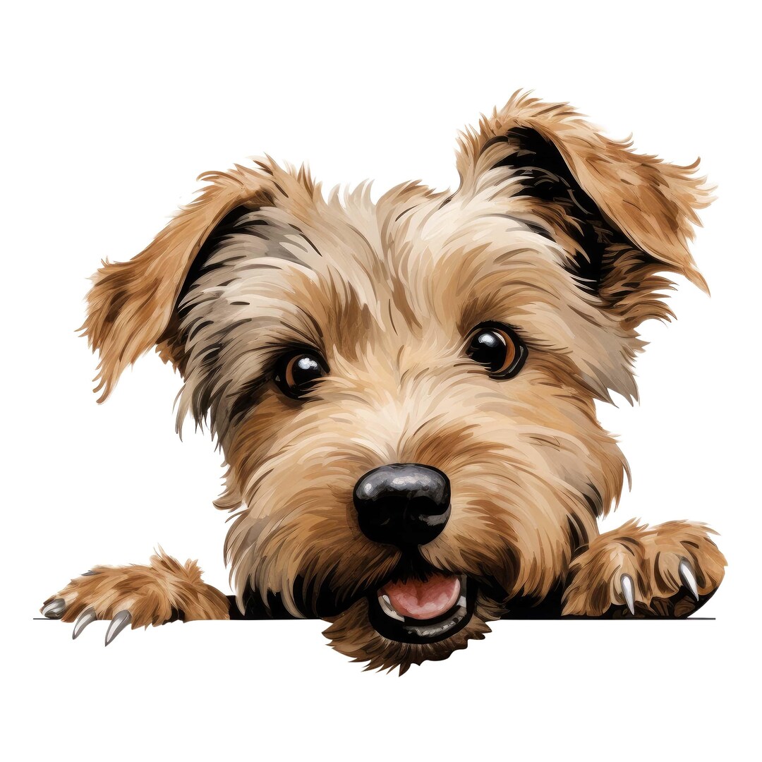3X Funny Peeking Dog Car Stickers in Cartoon Style for Cars, Laptops ...