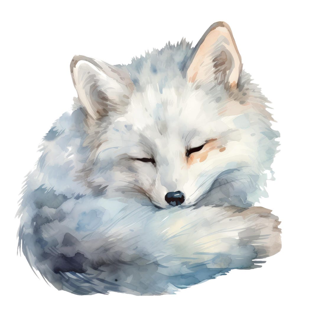 4X Arctic Fox Sticker Set, 4 Pieces, Watercolor Car Stickers, Winter ...