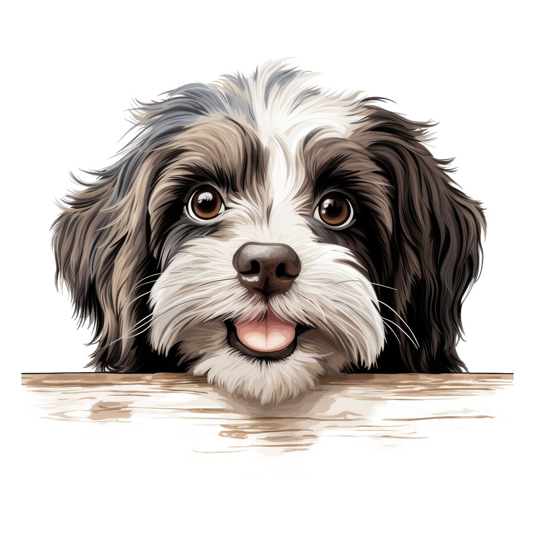 Havanese Car Sticker Dog Sticker - Etsy