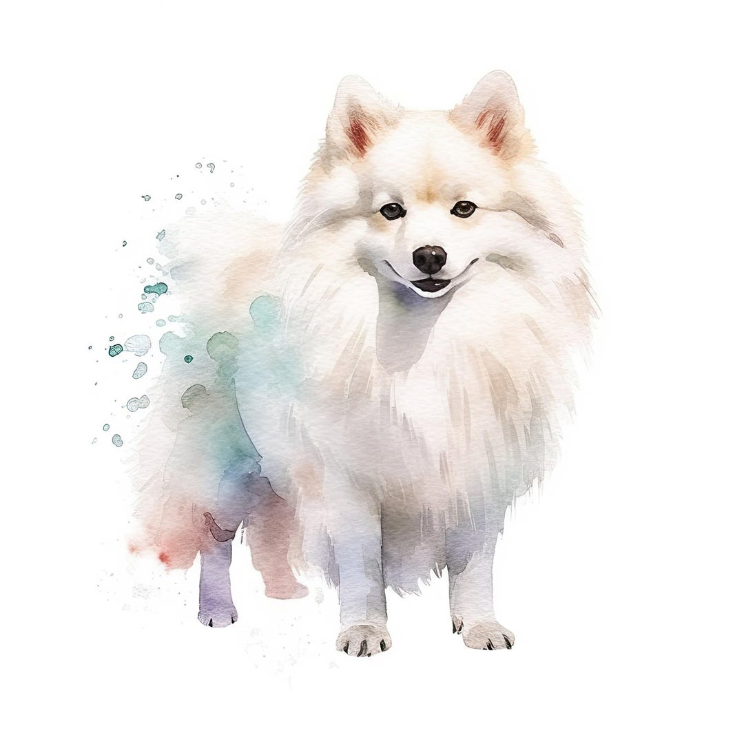 Japanese Spitz Car Sticker – Weatherproof Dog Sticker for Car Window ...