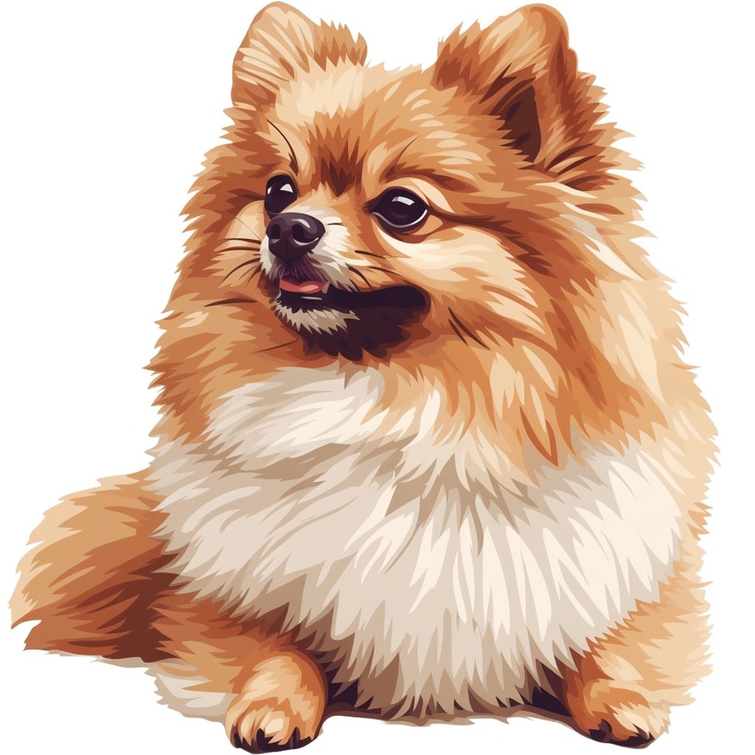 Pomeranian Car Decal Dog Sticker - Etsy