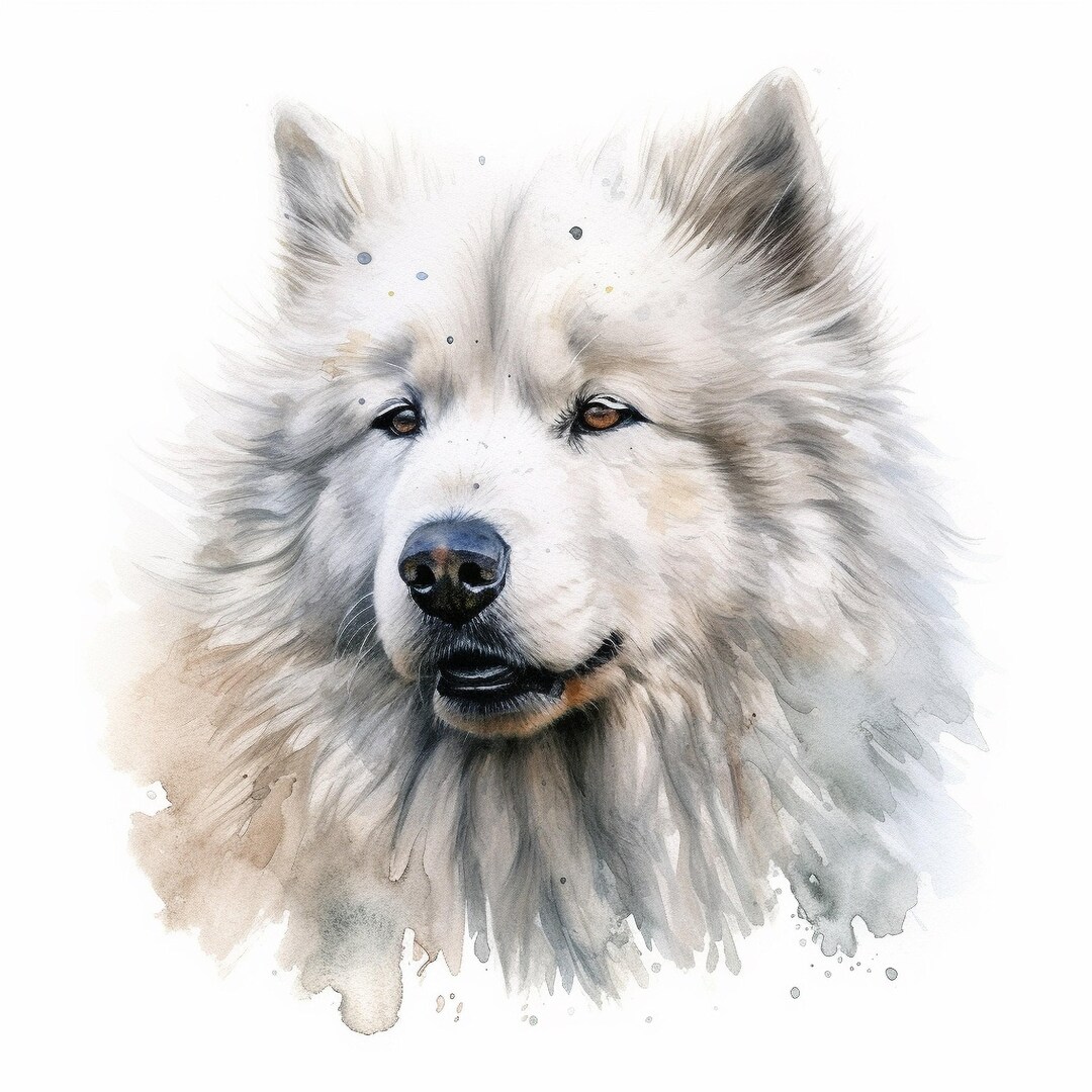 2X Samoyed Car Stickers – Weatherproof Dog Stickers for Car Window ...