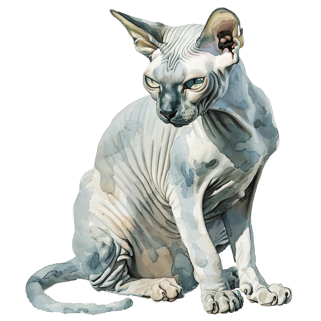 5X Sphynx Cat Stickers, Hairless Cat Car Stickers, Funny Vinyl ...