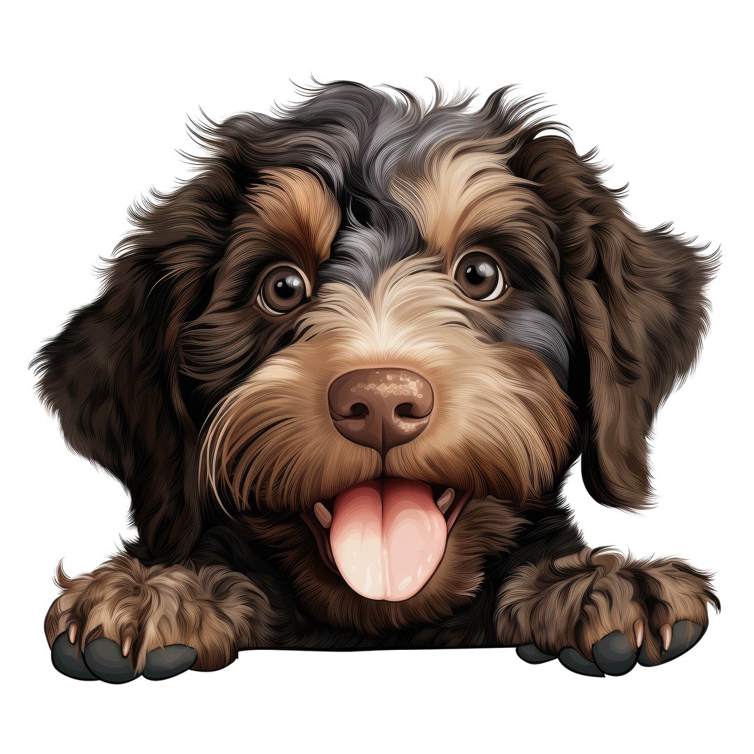 Funny Peeking Dog Car Sticker Dog Sticker Personalizable With Dog Name ...