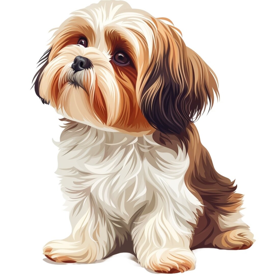 Shih Tzu Dog Car Sticker Dog Sticker - Etsy