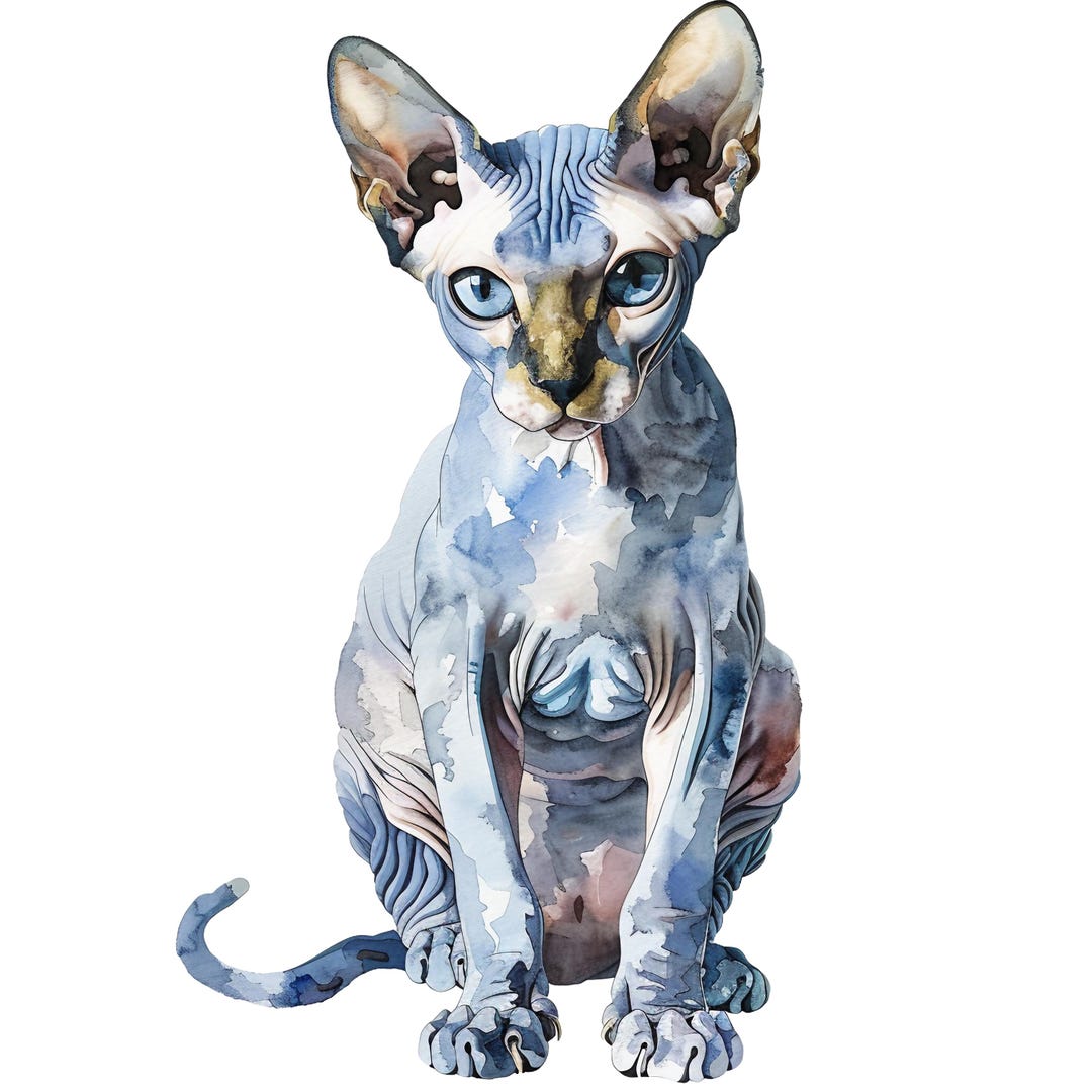 5X Sphynx Cat Stickers, Hairless Cat Car Stickers, Funny Vinyl ...
