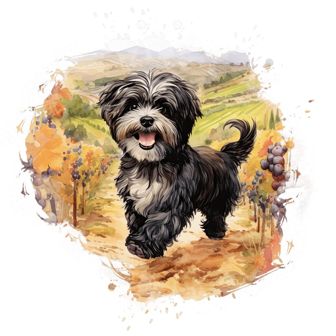 2 X Havanese Car Stickers, Dog Stickers - Etsy