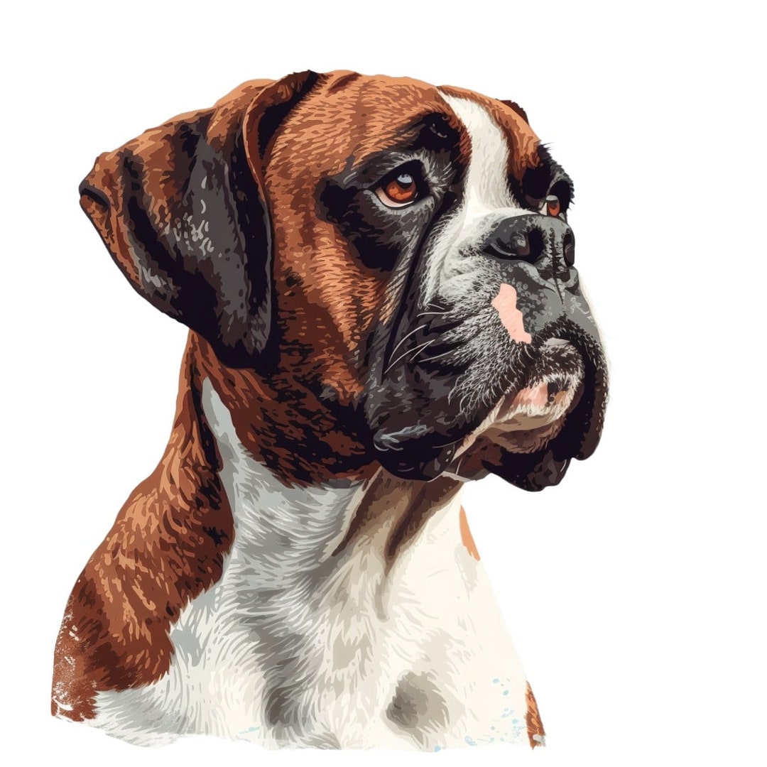 German Boxer Car Sticker Dog Sticker - Etsy