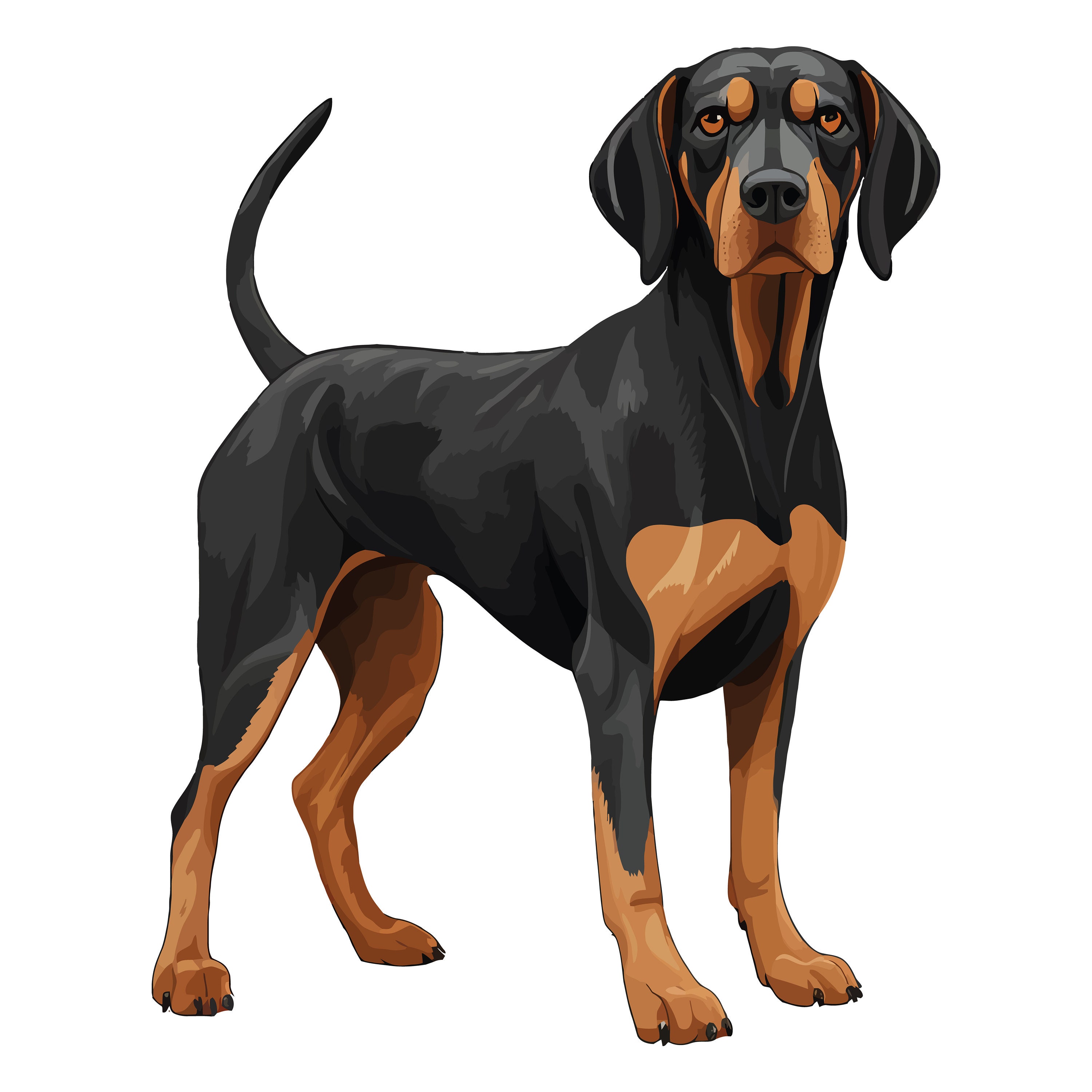 Black and Tan Coonhound Car Decal Dog Sticker - Etsy