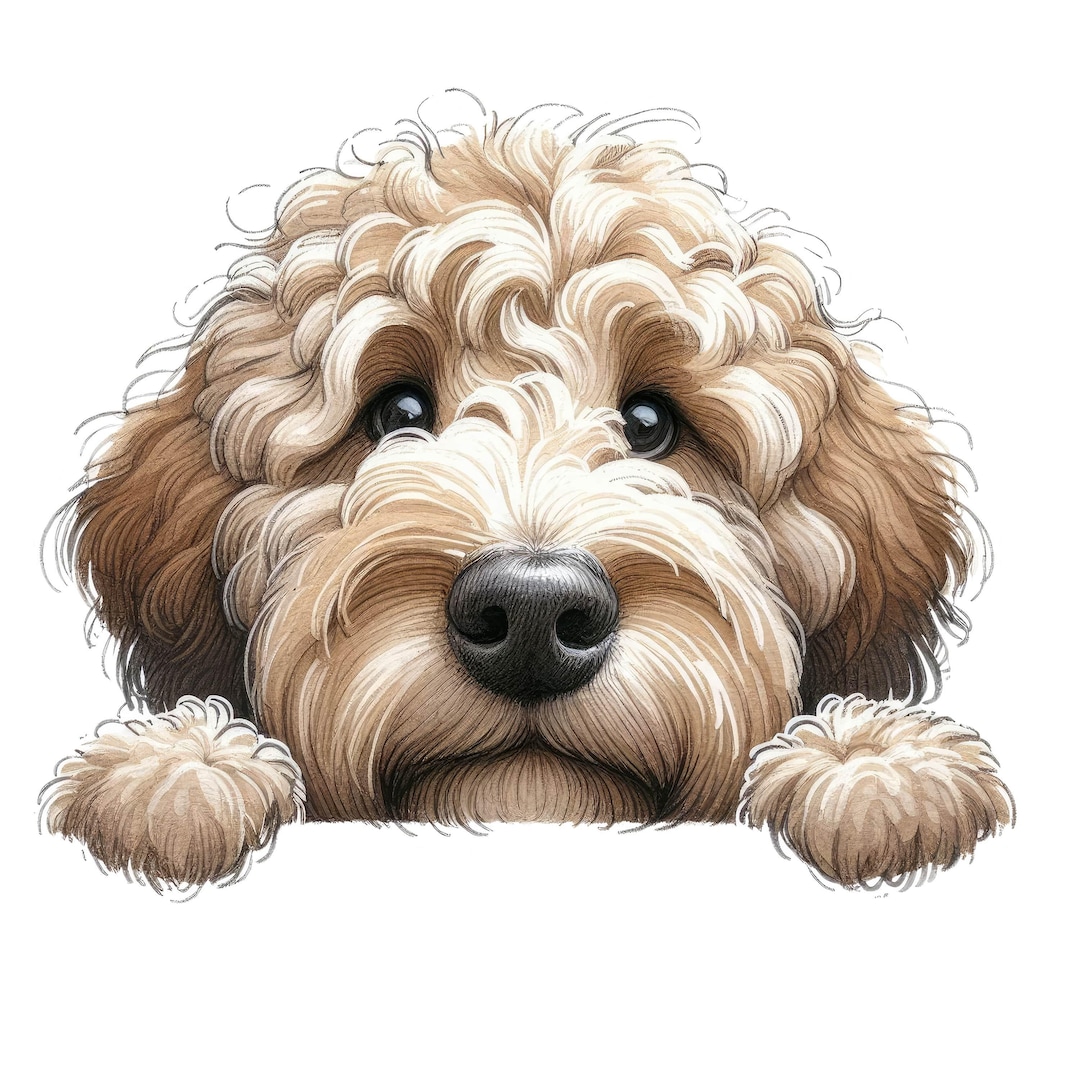 3X Peeking Doodle Dog Car Stickers in a Funny Design for Cars, Laptops ...
