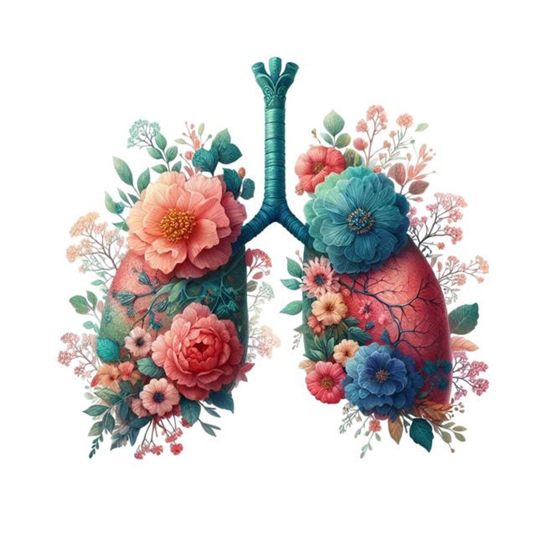 4x Flower Lung Sticker Set, 4 Pieces, Anatomy Car Stickers, Flower Lung ...