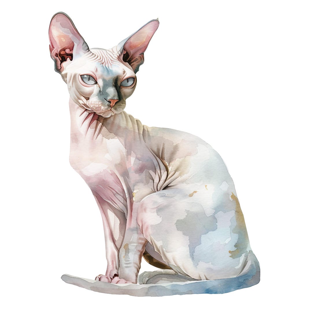 5X Sphynx Cat Stickers, Hairless Cat Car Stickers, Funny Vinyl ...