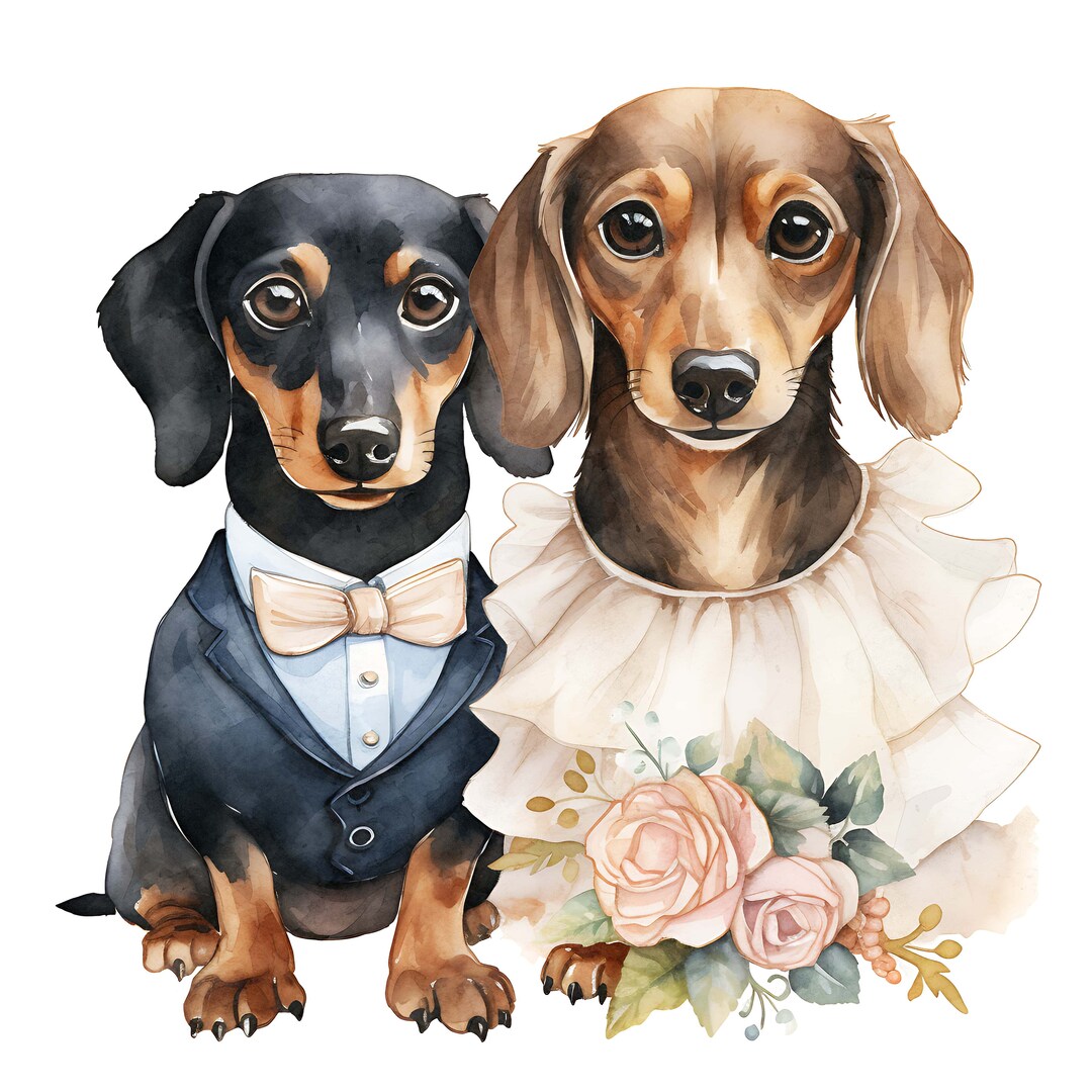 Dachshund Car Sticker Dog Sticker - Etsy