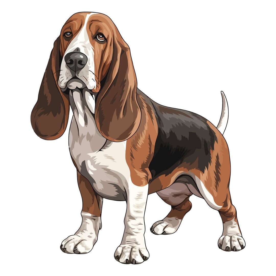 Basset Hound Car Sticker Dog Sticker - Etsy