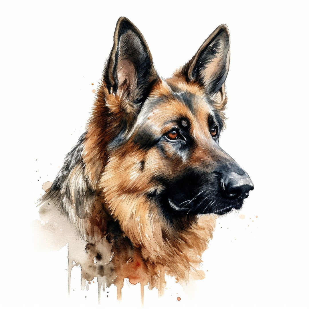 German Shepherd Car Decal Dog Sticker - Etsy