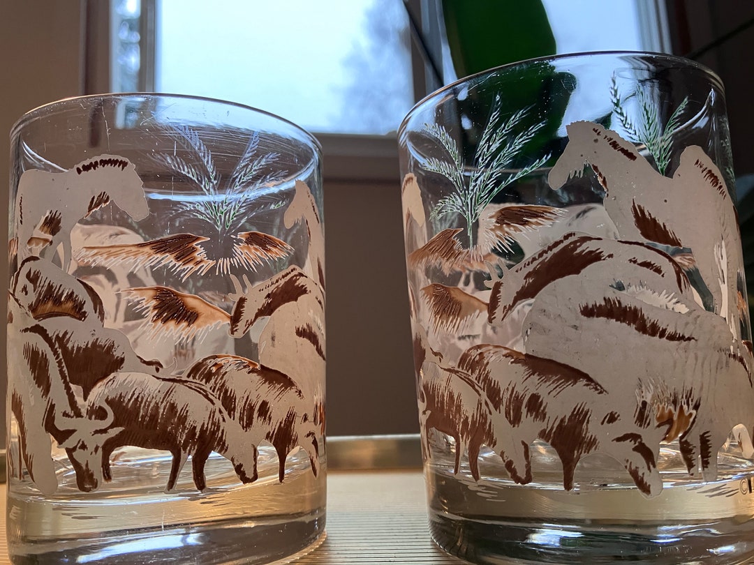 Vintage Cera Safari Glasses Double Old-fashioned Rocks Glass Wild ...