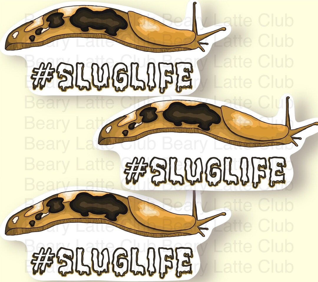 Slug Sticker Slug Life Sticker Water Bottle Sticker Laptop - Etsy