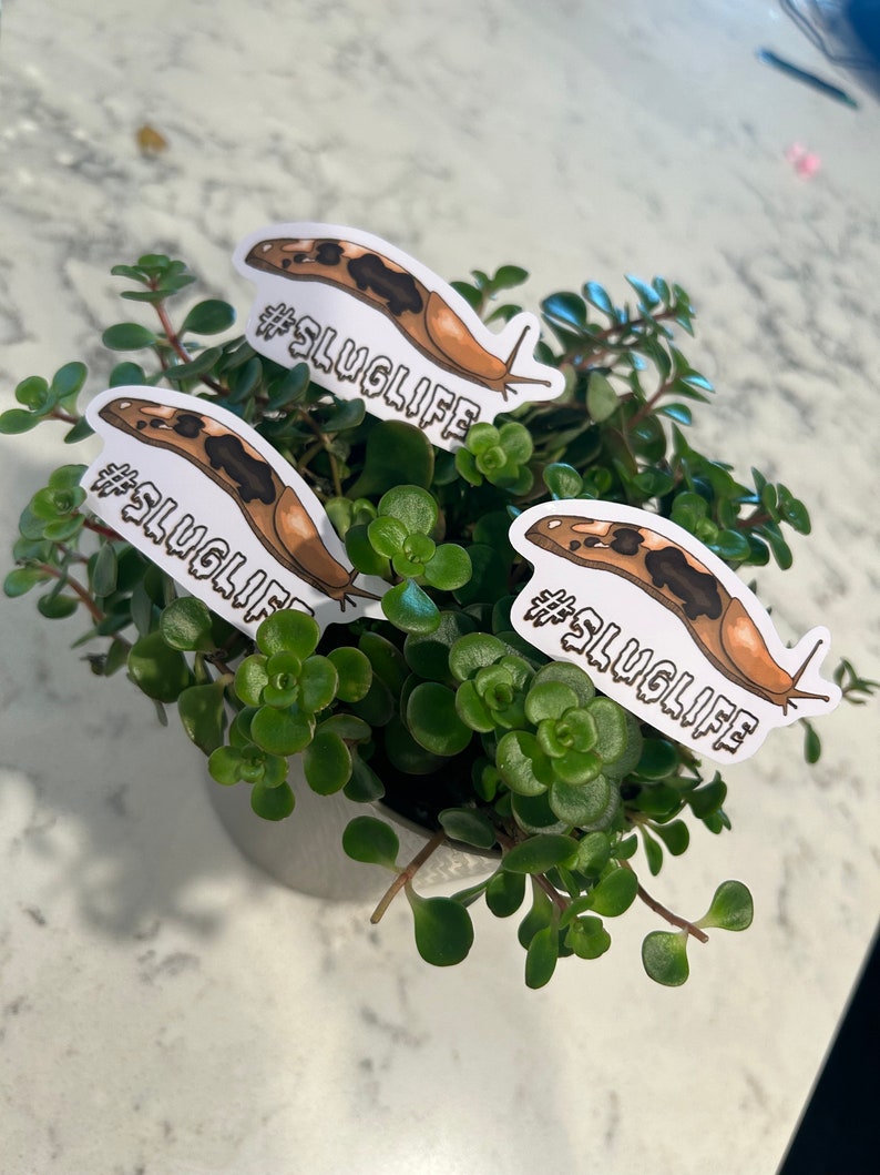 Slug Sticker, Slug Life Sticker, Water Bottle Sticker, Laptop Sticker ...