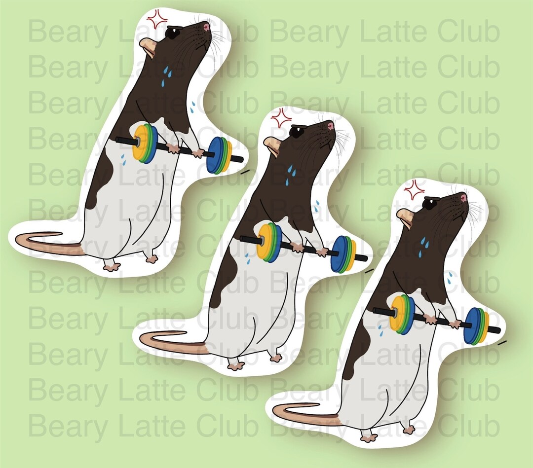 Gym Rat Sticker, Animal Sticker, Water Bottle Sticker, Laptop Sticker ...
