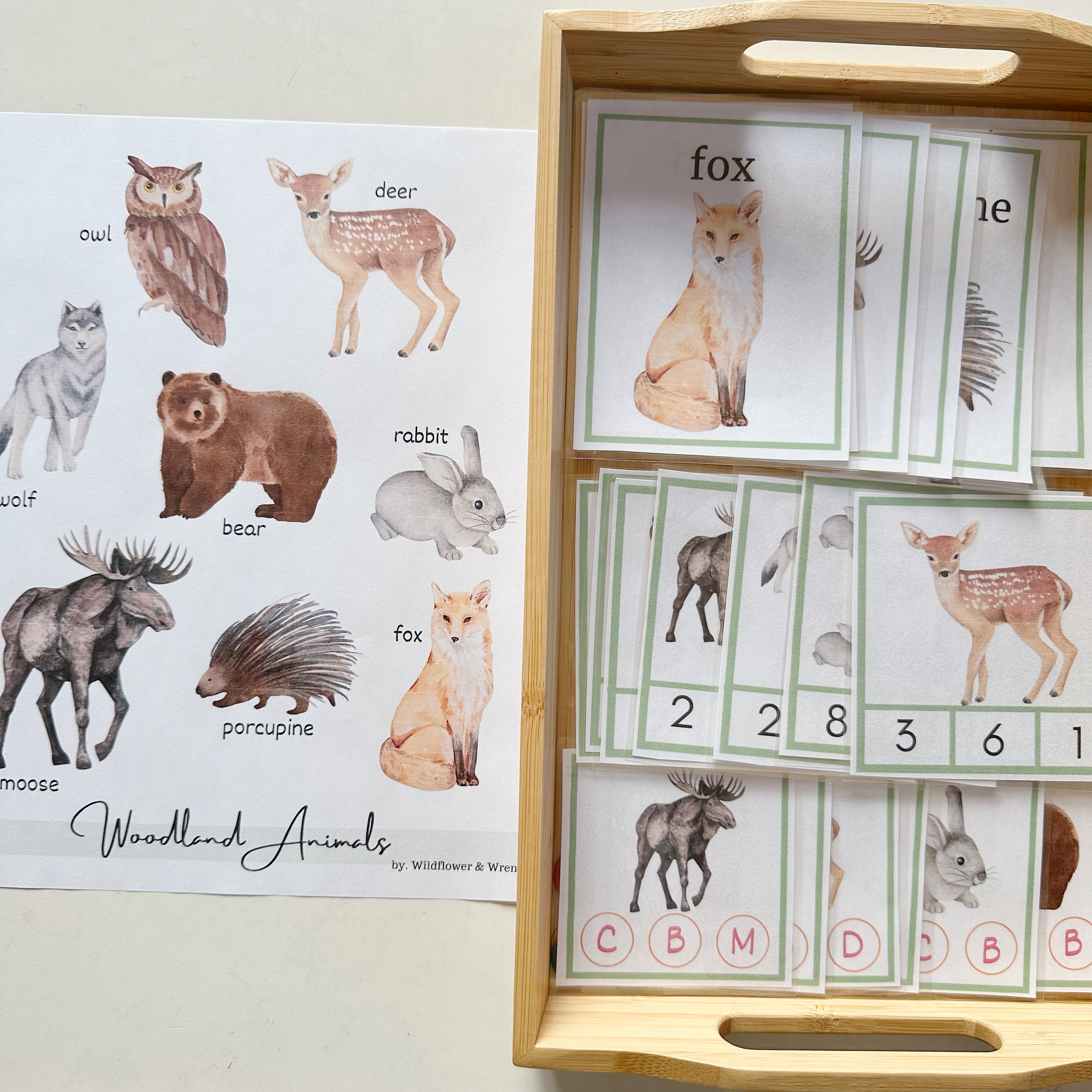 Woodland Animals Activity Pack for Preschool - Etsy