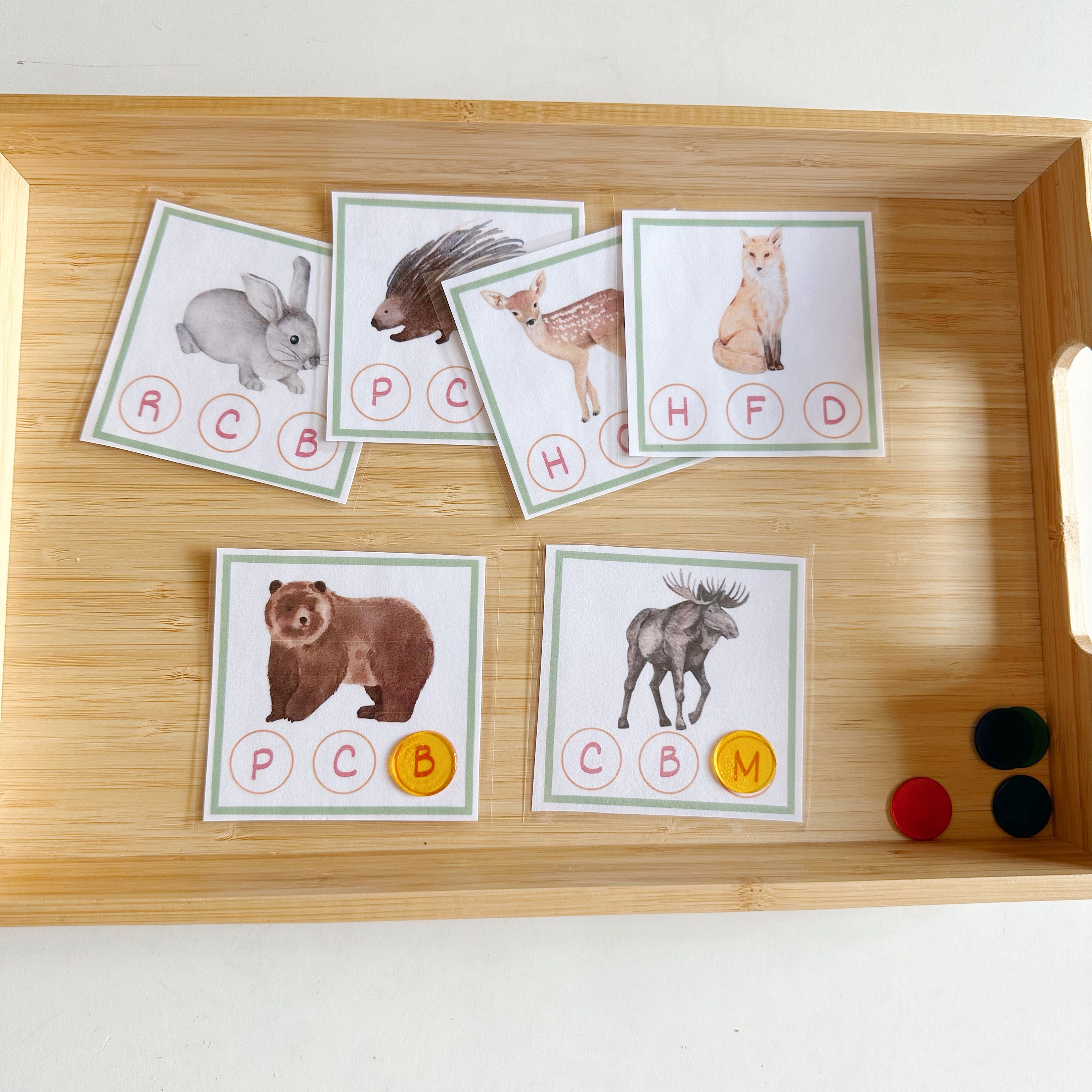 Woodland Animals Activity Pack for Preschool - Etsy