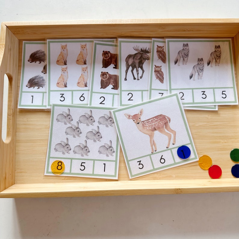 Woodland Animals Activity Pack for Preschool - Etsy