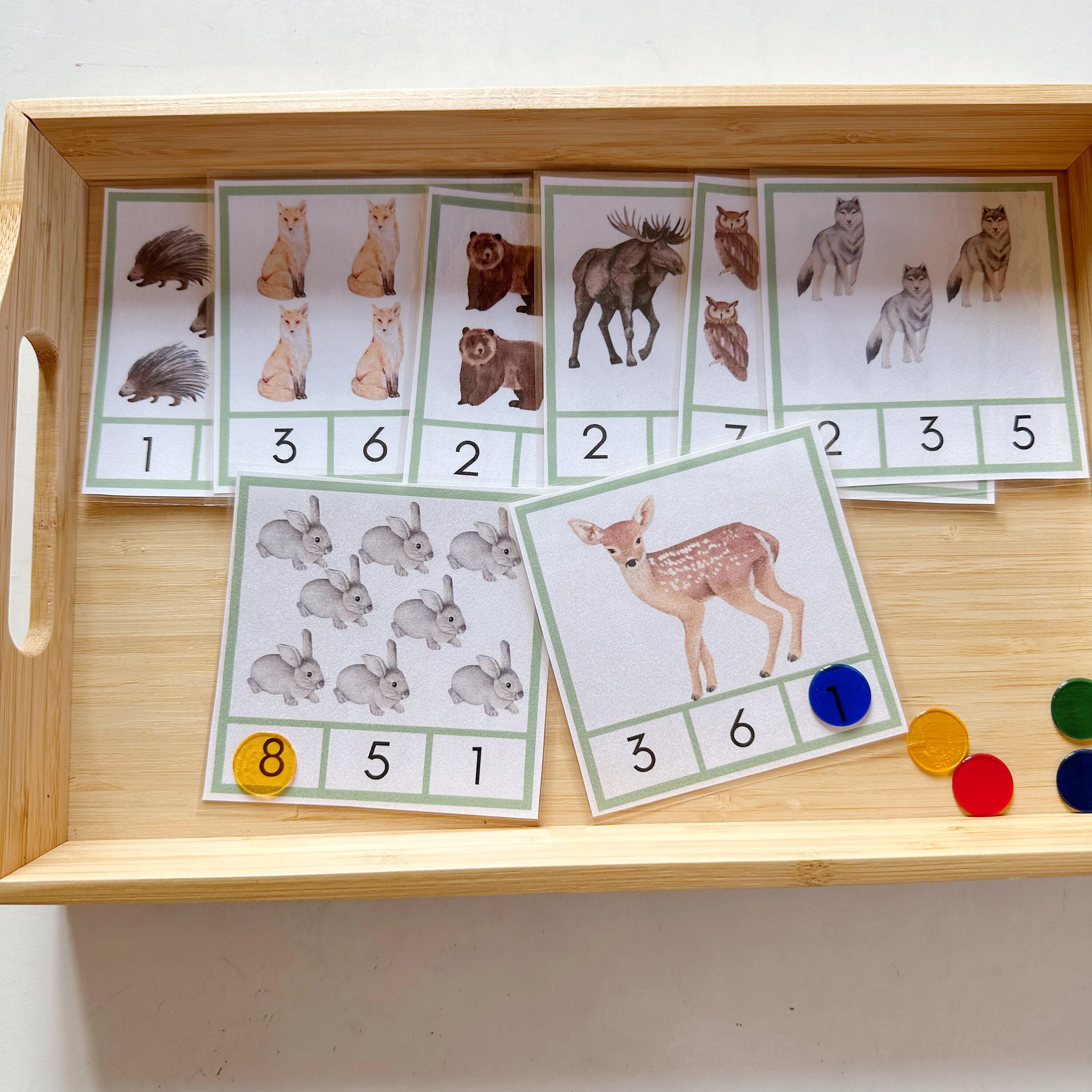 Woodland Animals Activity Pack for Preschool - Etsy