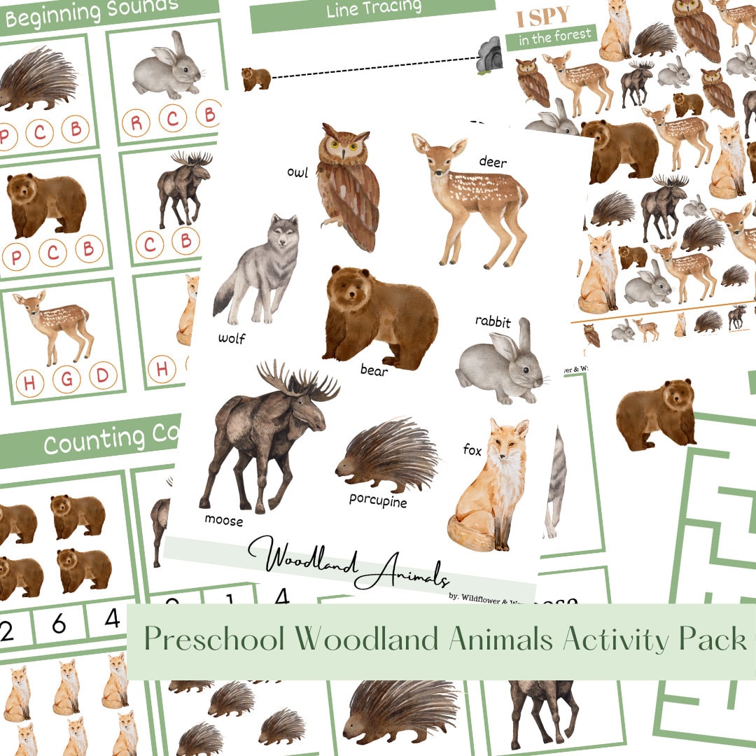 Woodland Animals Activity Pack for Preschool - Etsy