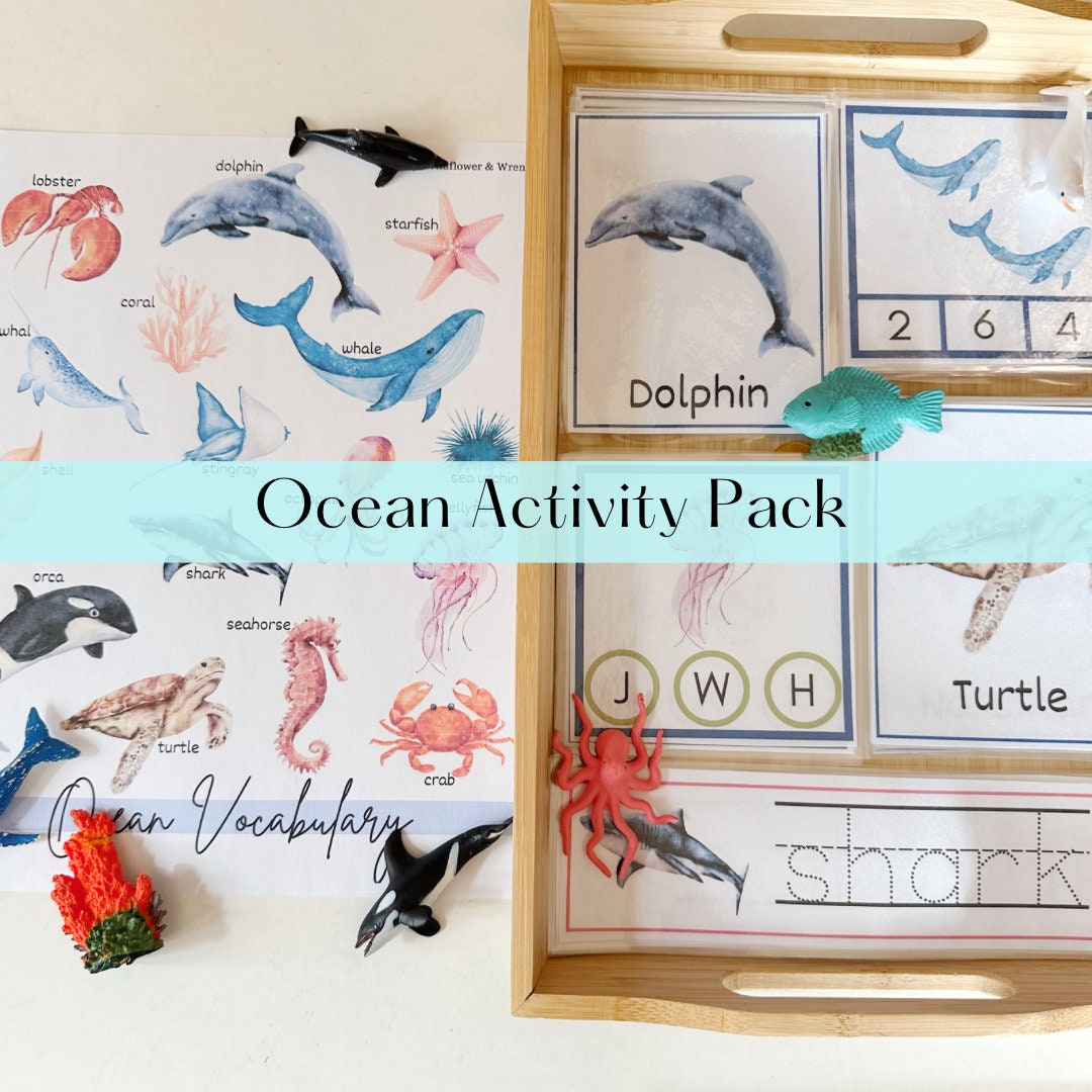 In the Ocean Activity Learning Pack - Etsy