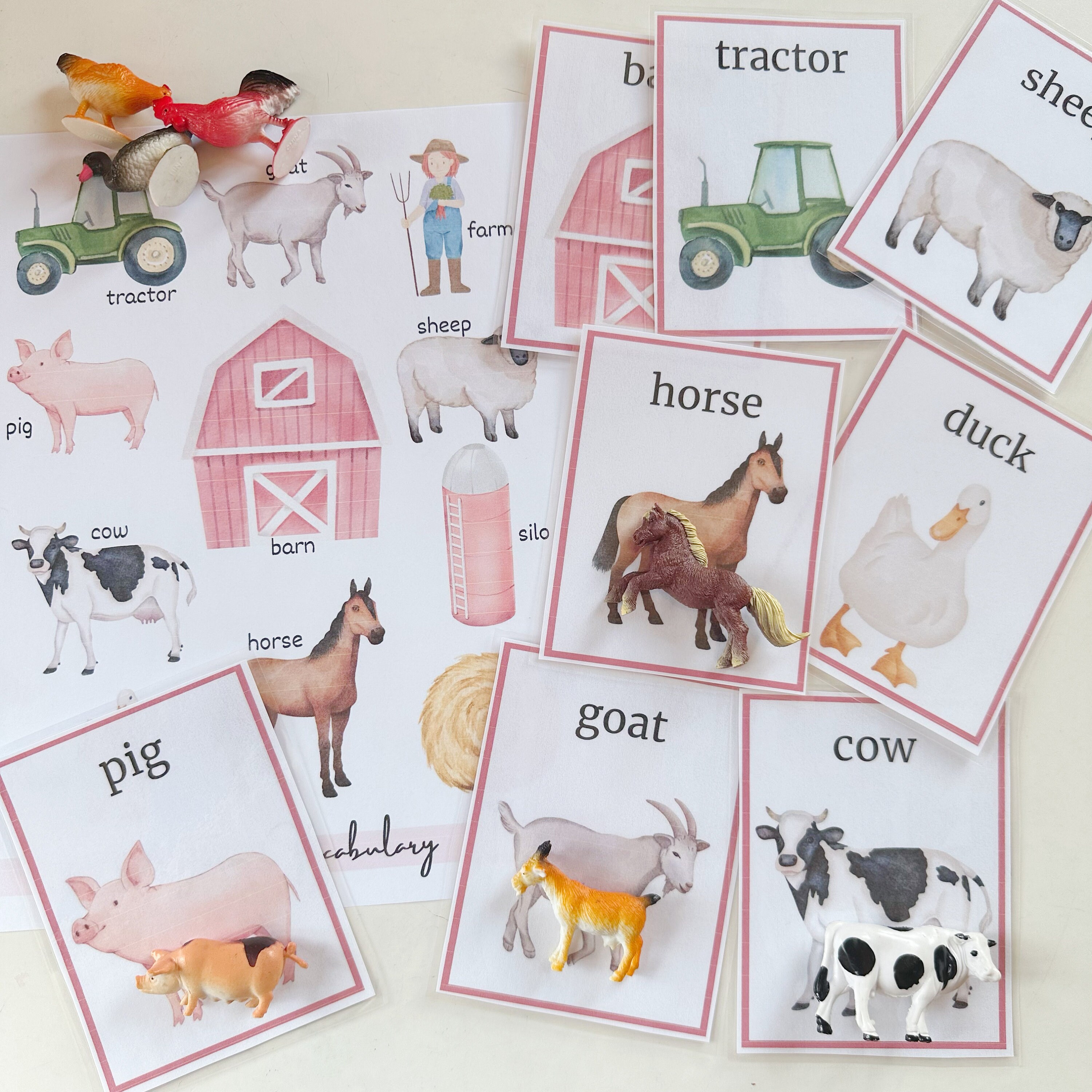 Farm Identification Cards for Preschool - Etsy