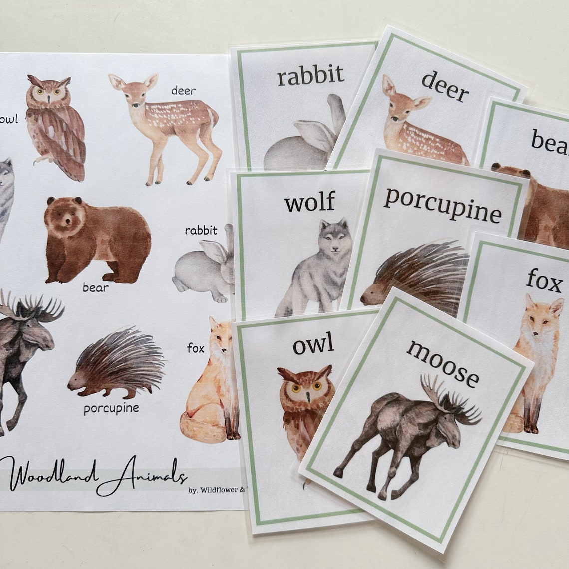 Woodland Animal Identification Cards for Preschool - Etsy