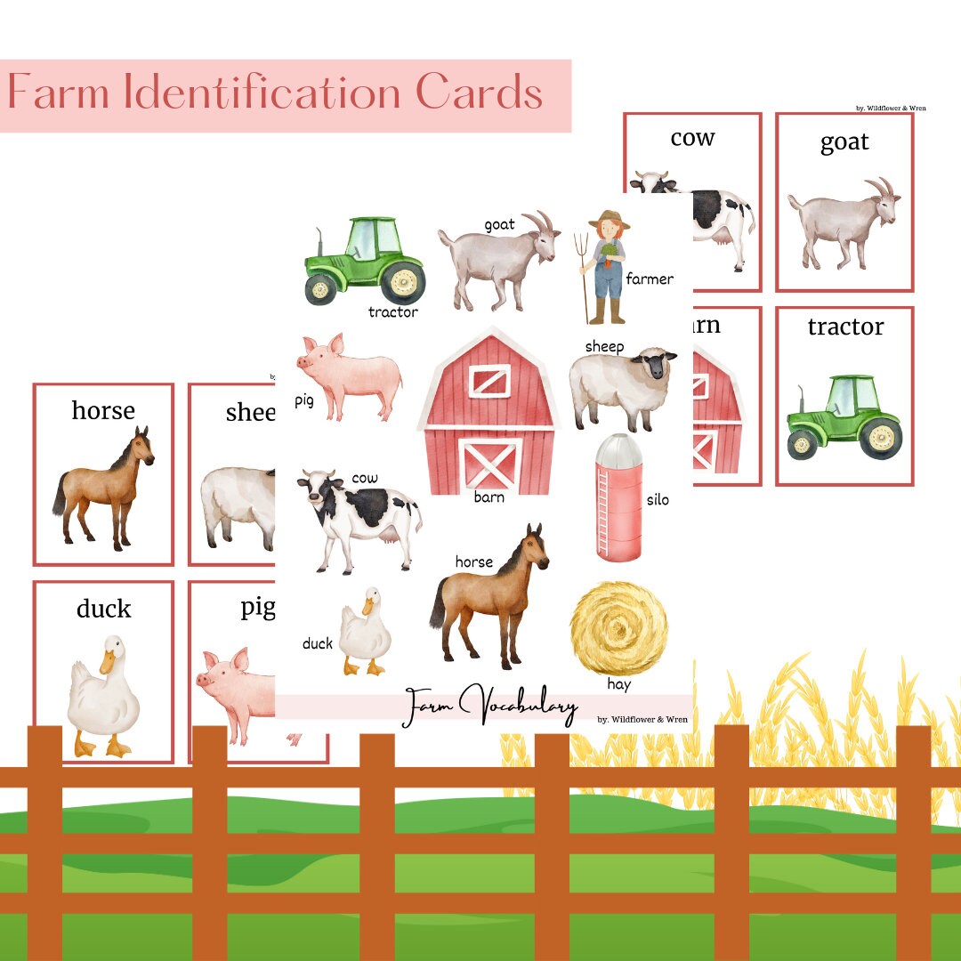Farm Identification Cards for Preschool - Etsy
