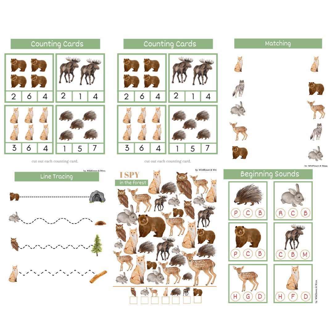 Woodland Animals Activity Pack for Preschool - Etsy