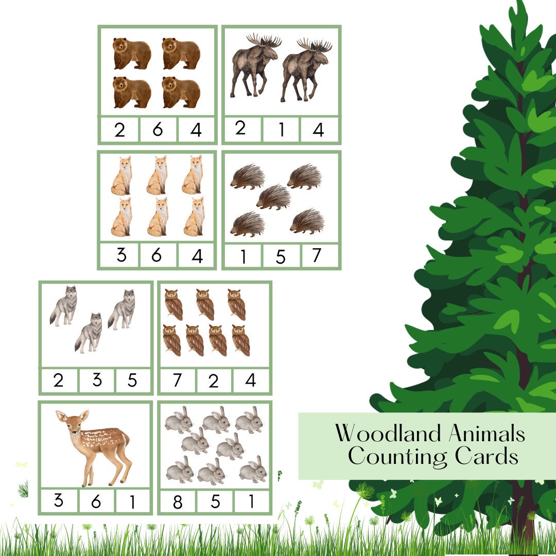 Woodland Animal Counting Cards for Preschool - Etsy