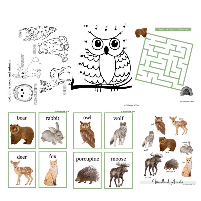 Woodland Animals Activity Pack for Preschool - Etsy