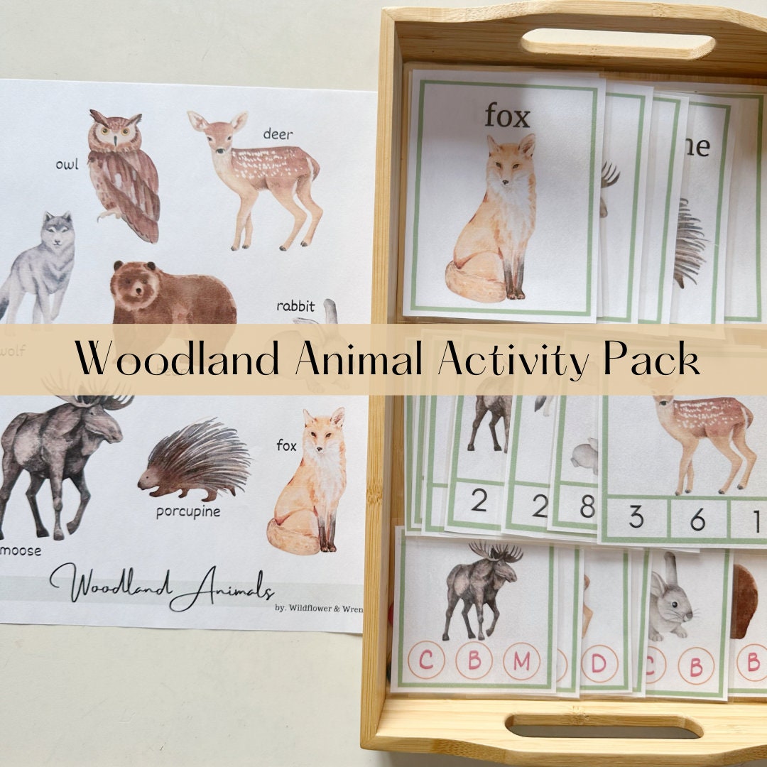 Woodland Animals Activity Pack for Preschool - Etsy