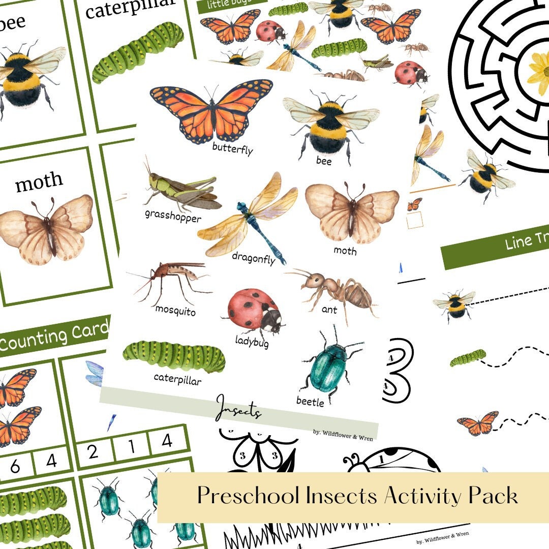 Insects Pack for Preschool - Etsy