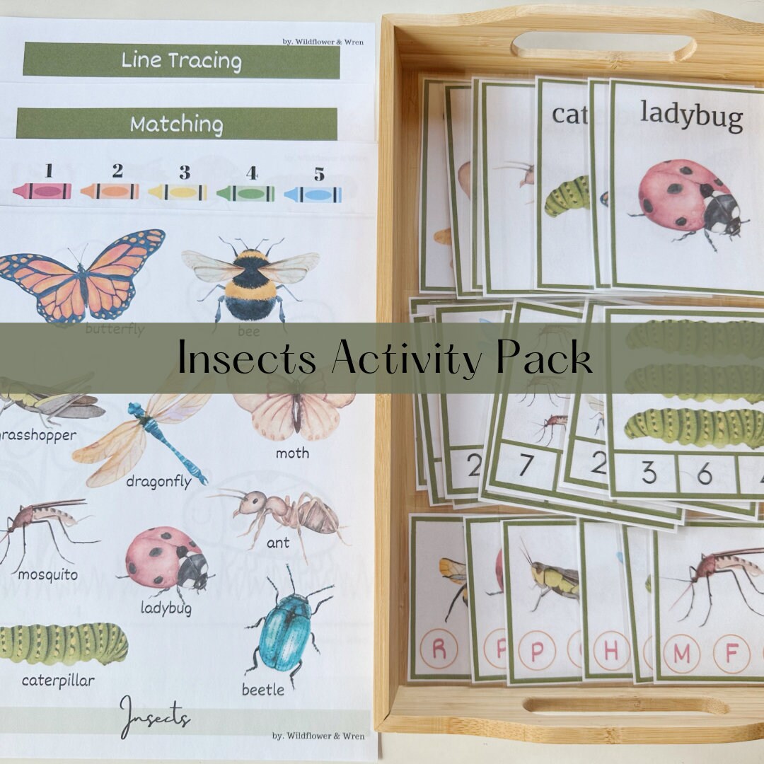 Insects Pack for Preschool - Etsy