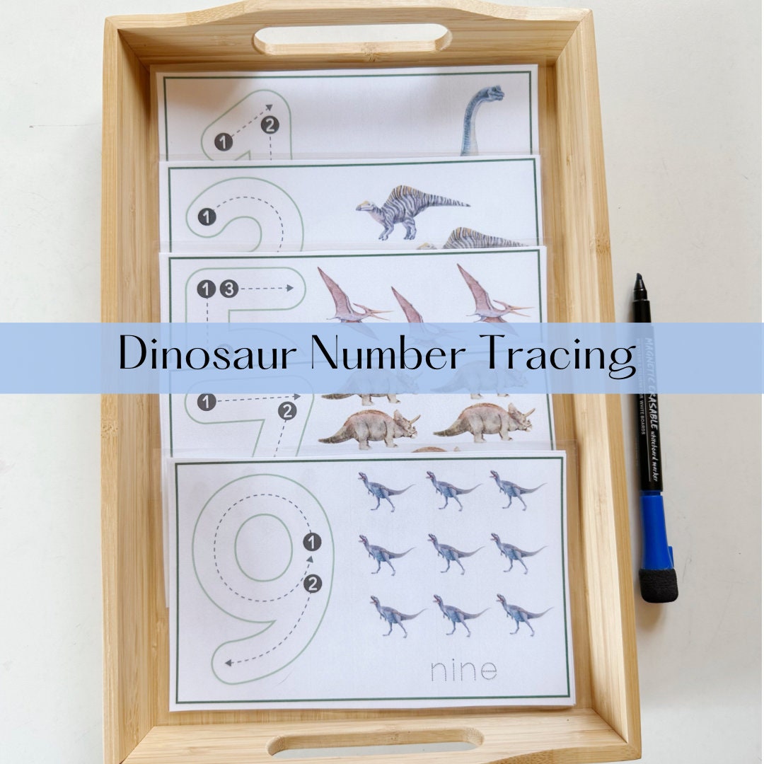Dinosaur Number Tracing Cards - Etsy