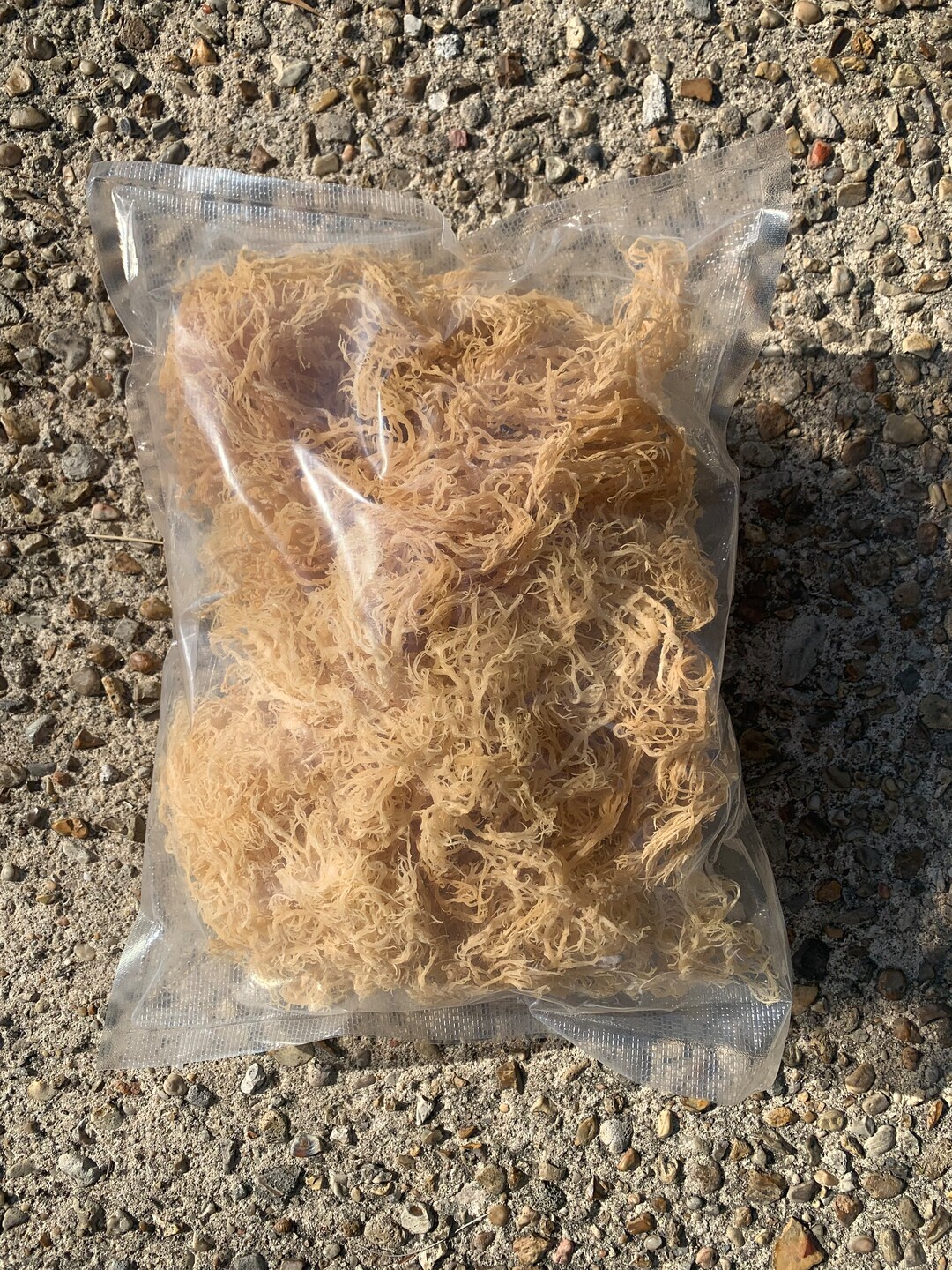 Wildcrafted Raw Sea Moss 1LB - Etsy