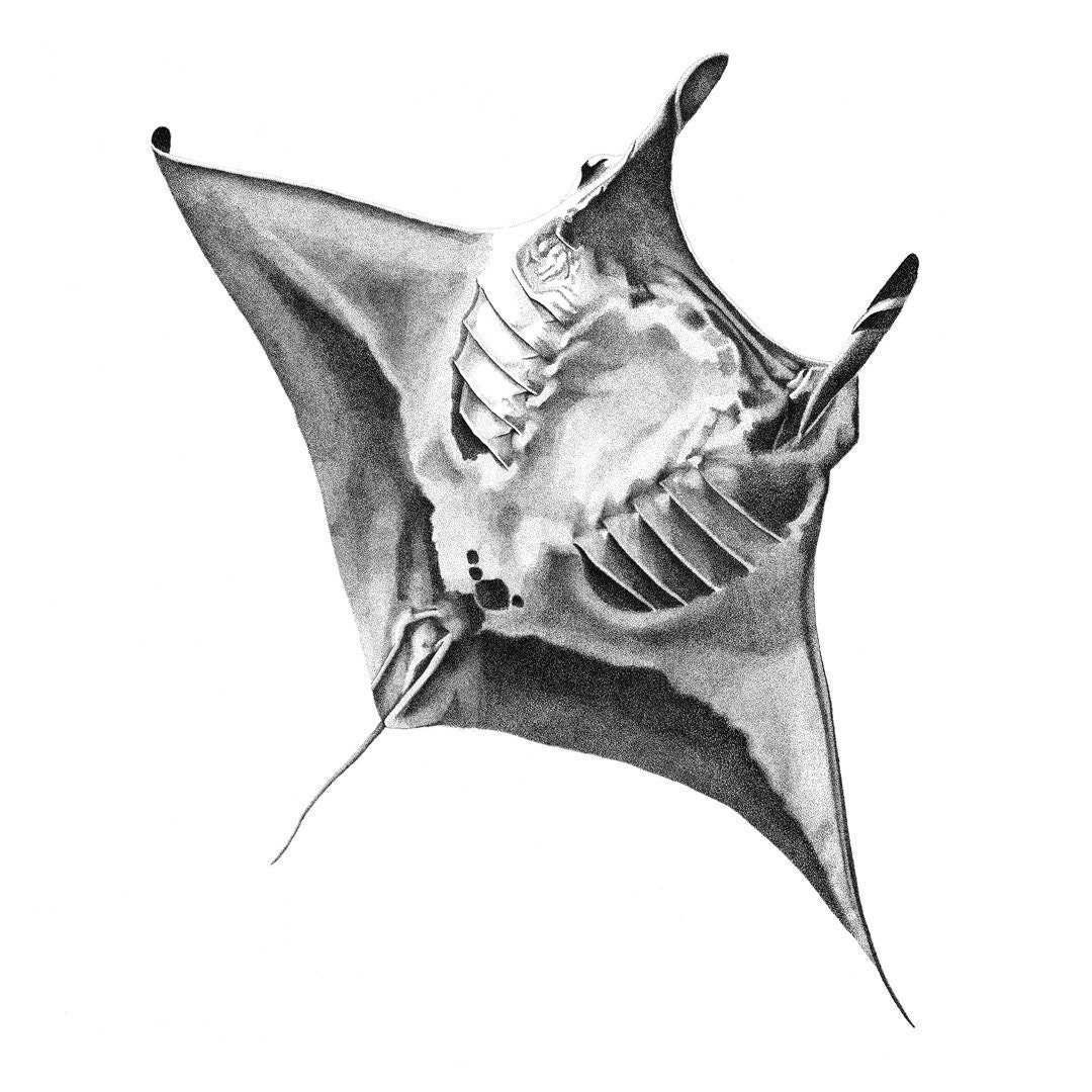 Custom Limited-edition Ocean-inspired Fine-art Print From Original ...