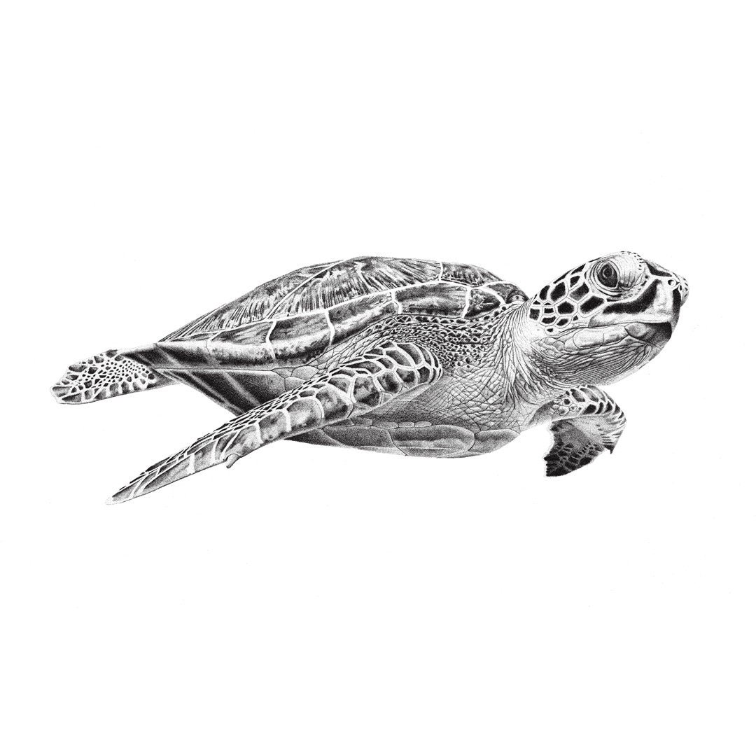 Custom Limited-edition Ocean-inspired Fine-art Print From Original ...