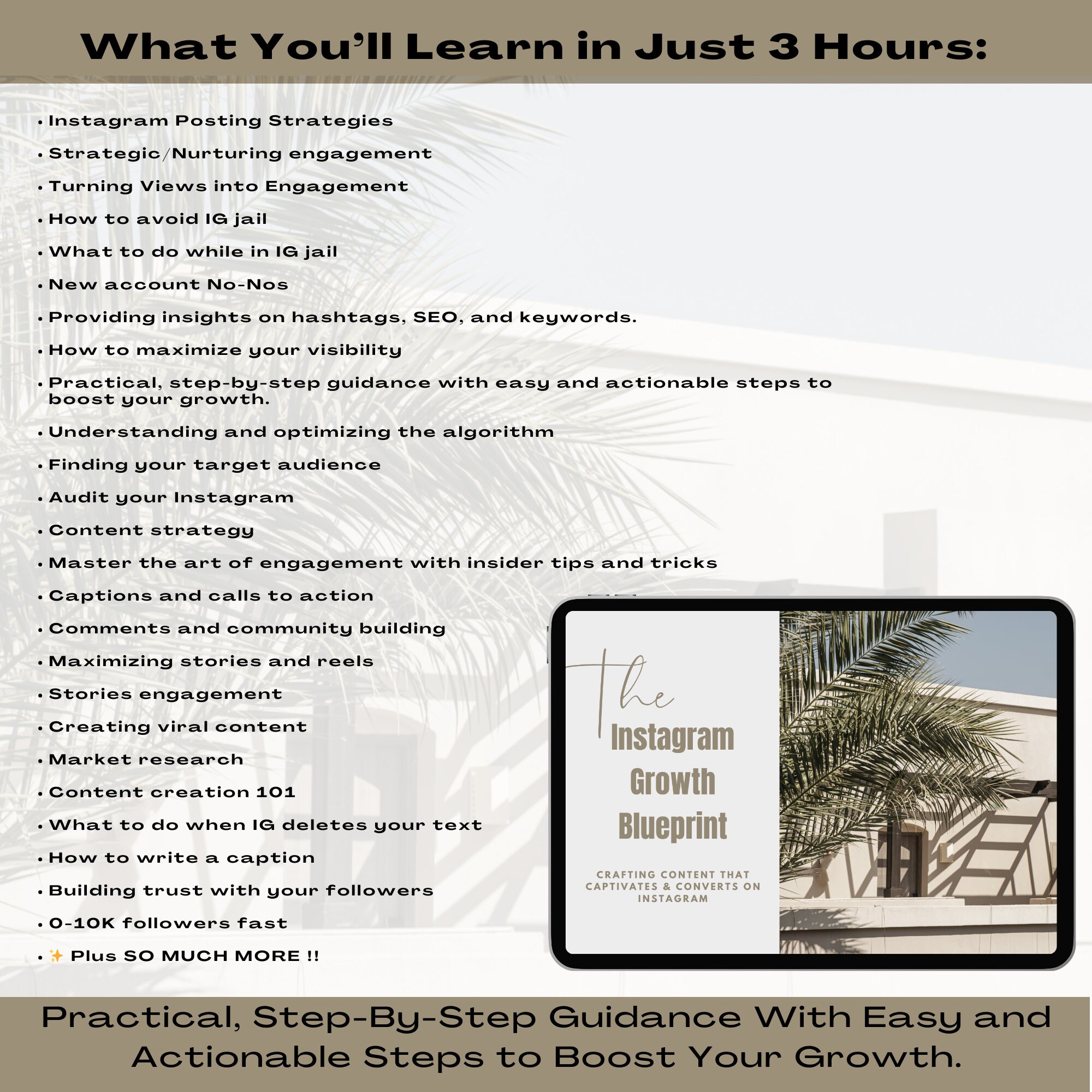 The Instagram Growth Blueprint - MRR Course | Strategy Guide With ...