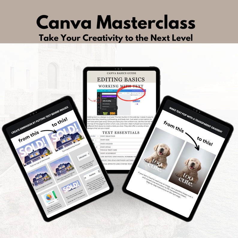 The Canva Masterclass Guide | With Master Resell Rights (MRR) & Private ...