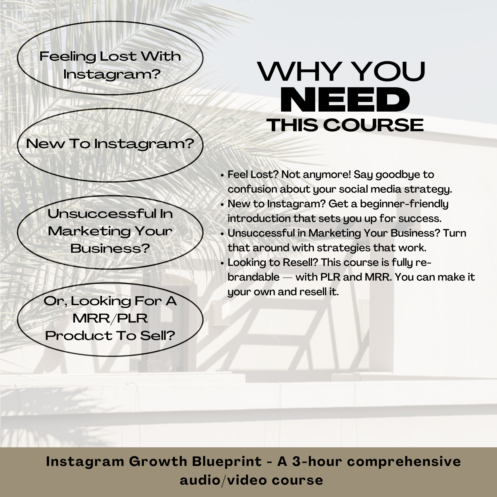 The Instagram Growth Blueprint - MRR Course | Strategy Guide With ...