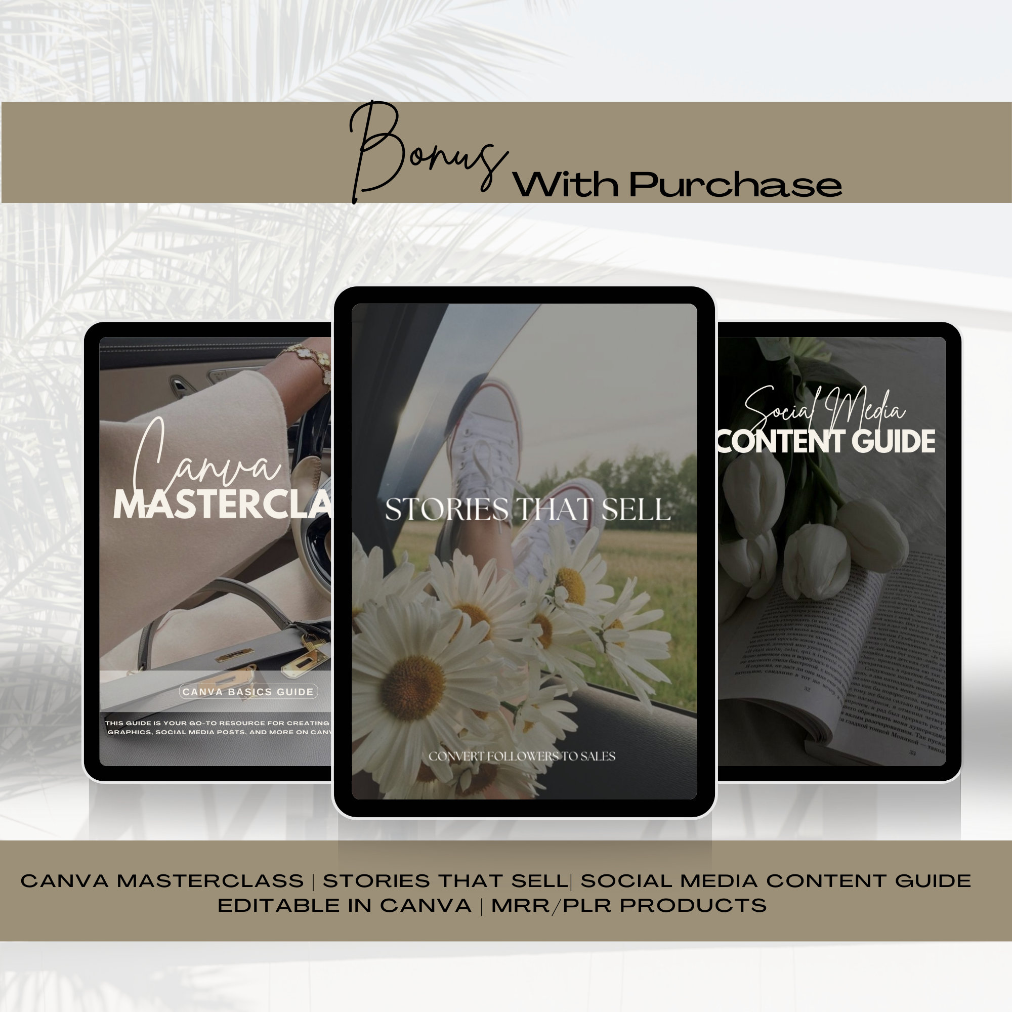 The Instagram Growth Blueprint - MRR Course | Strategy Guide With ...