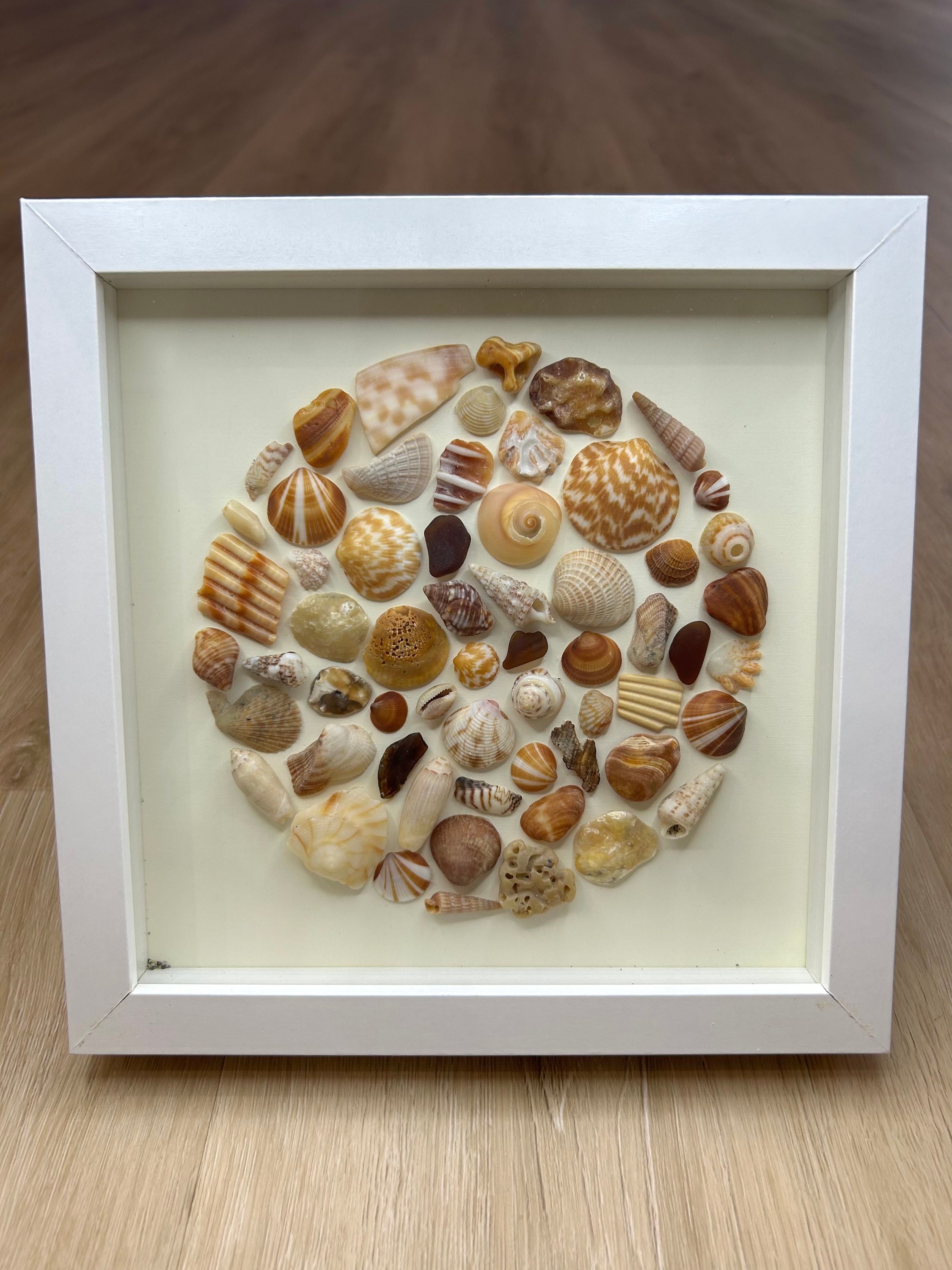 Handmade Ocean Seashell and Seaglass Mosaic Circle Coastal Home Decor ...