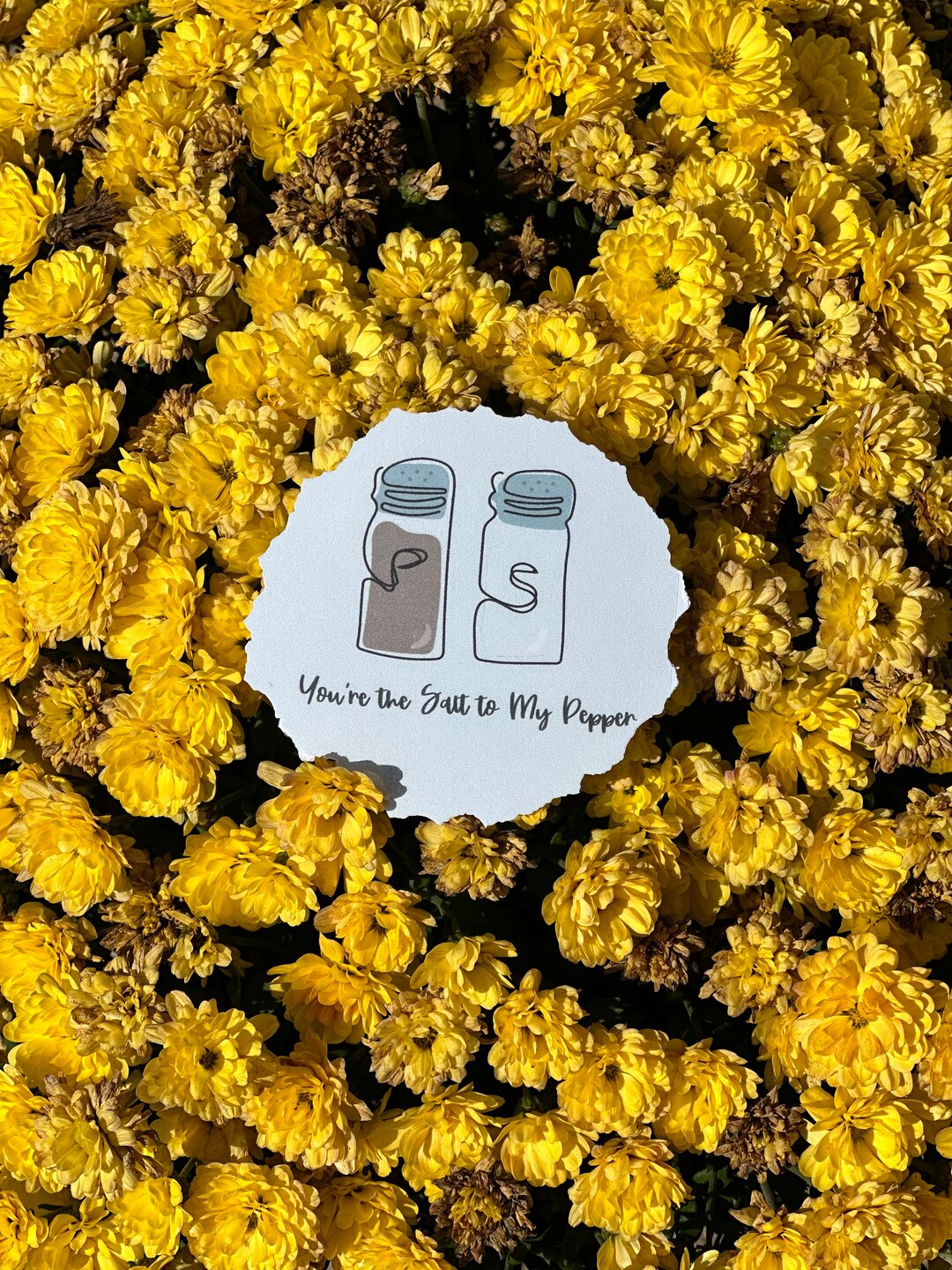 Salt and Pepper Sticker - Etsy
